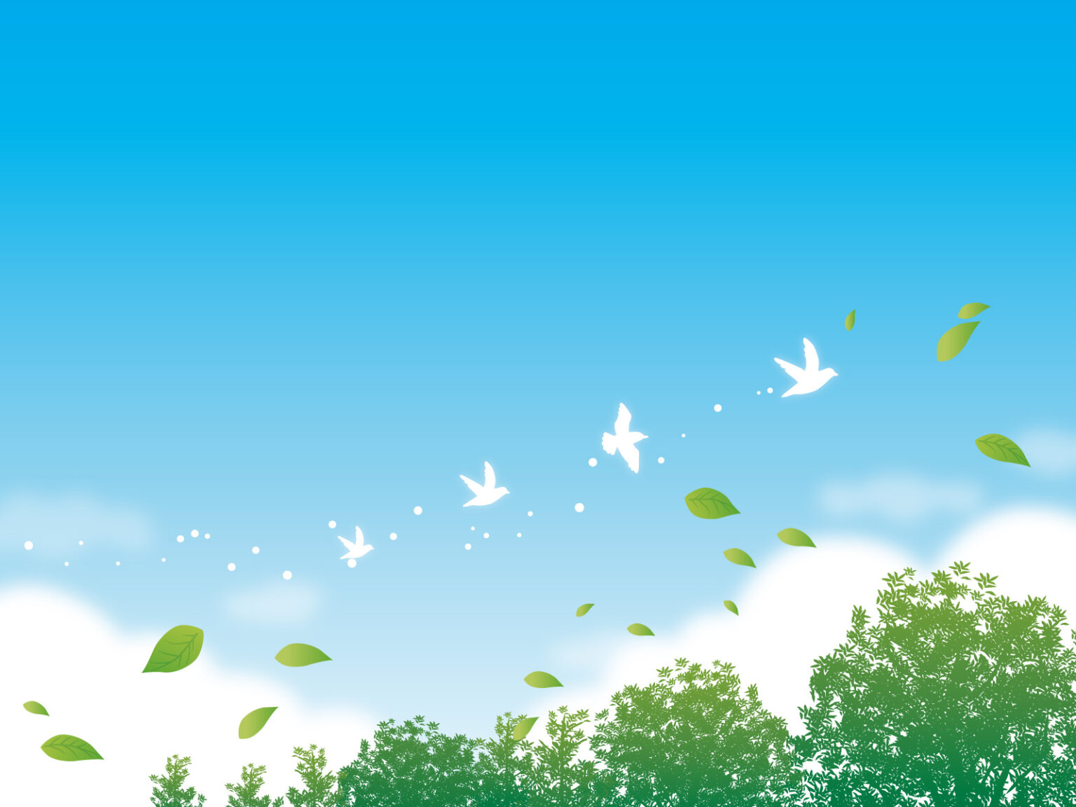 初心者必見！キービジュアルとメインビジュアルの違いとホームページ制作での活用法 | 月額1,100円の格安ホームページ制作会社【ZIUS】ブログサイト